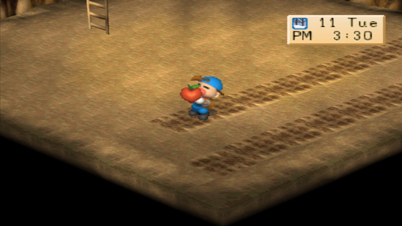 How to Get All Power Berries in Harvest Moon Back to Nature - GamerZenith